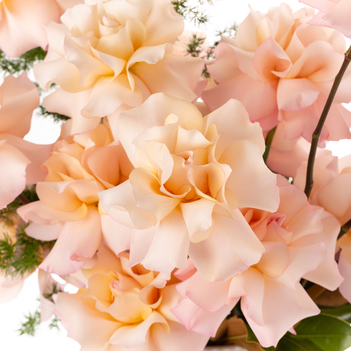 A New Day Floral Arrangement | Maroubra Flower Delivery | (02) 9314 ...