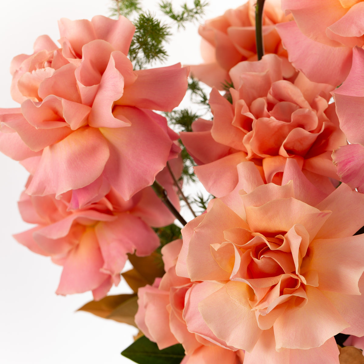 A New Day Floral Arrangement | Maroubra Flower Delivery | (02) 9314 ...