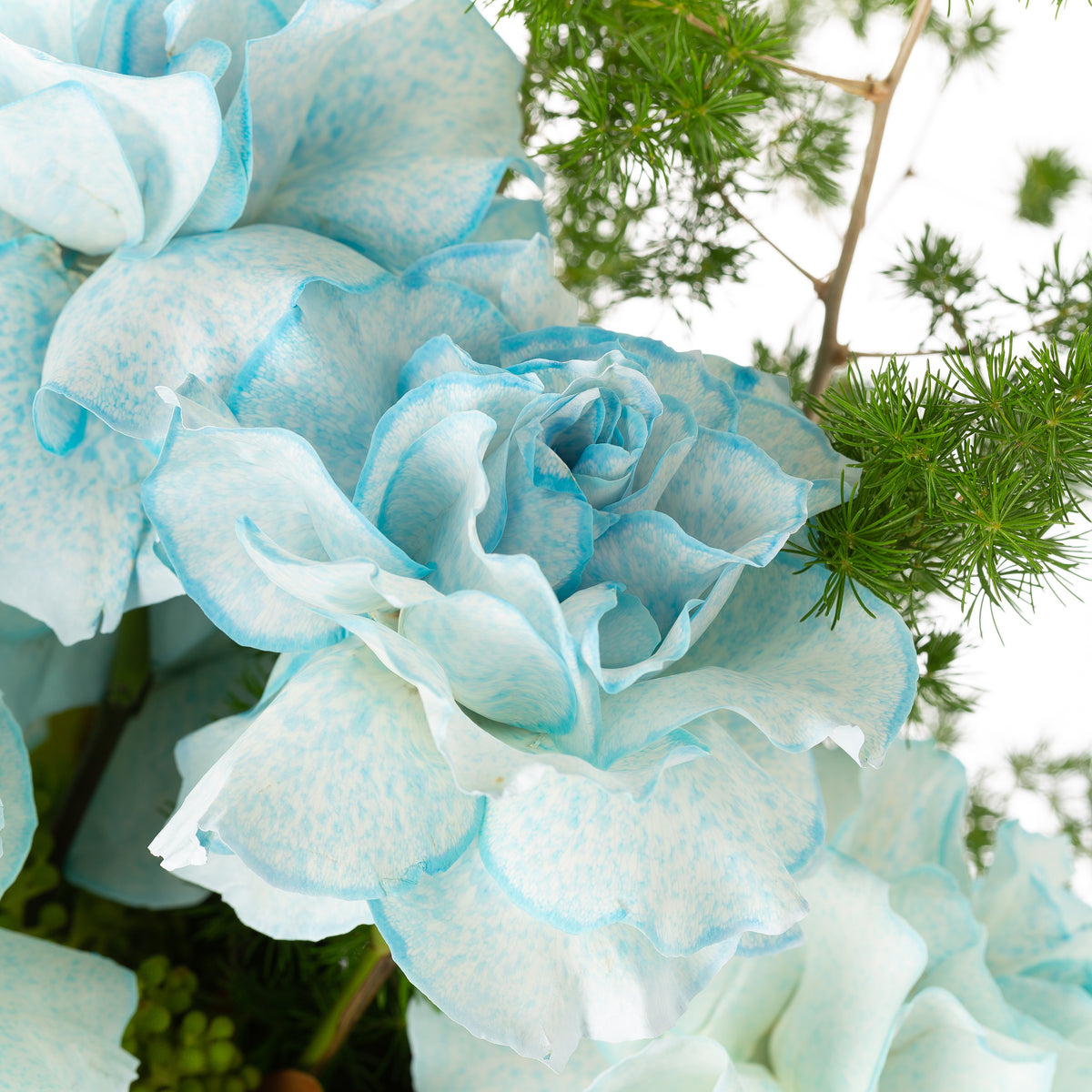 A New Day Floral Arrangement | Maroubra Flower Delivery | (02) 9314 ...