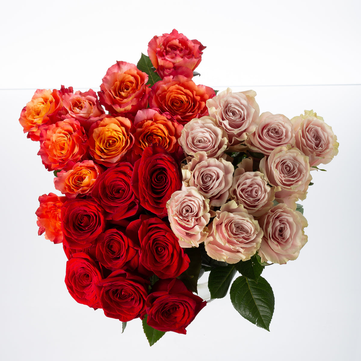 Colombian Roses – Mary K Floral Design
